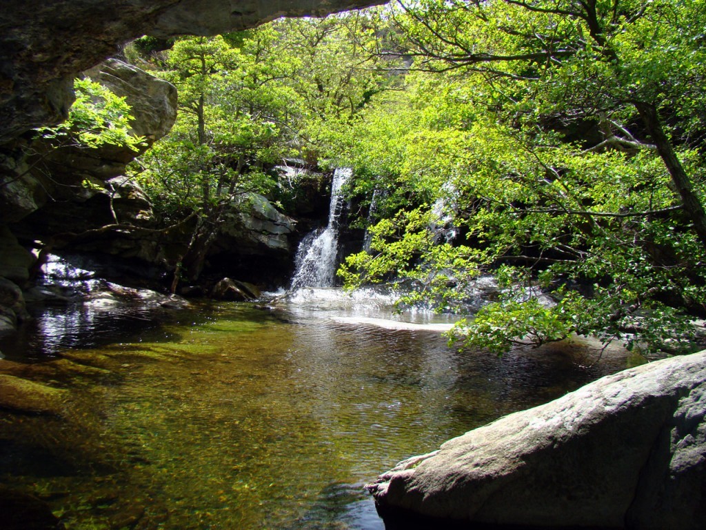 Andros - ProtoThema English