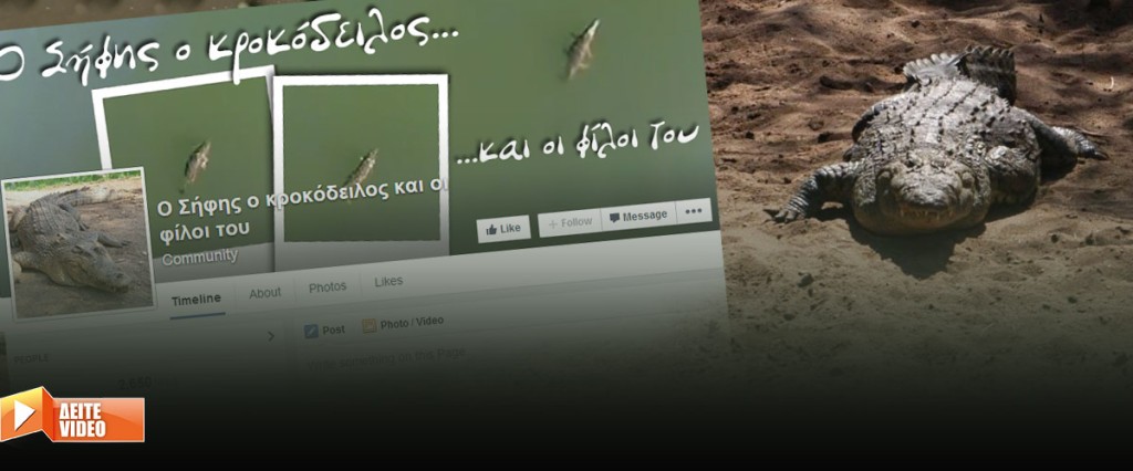 Plans to catch Sifis, the croc of Crete - ProtoThema English