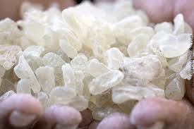 The 1st Mastic Festival of Chios - ProtoThema English