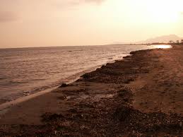 Louros beach: A hidden treasure of central Greece - ProtoThema English