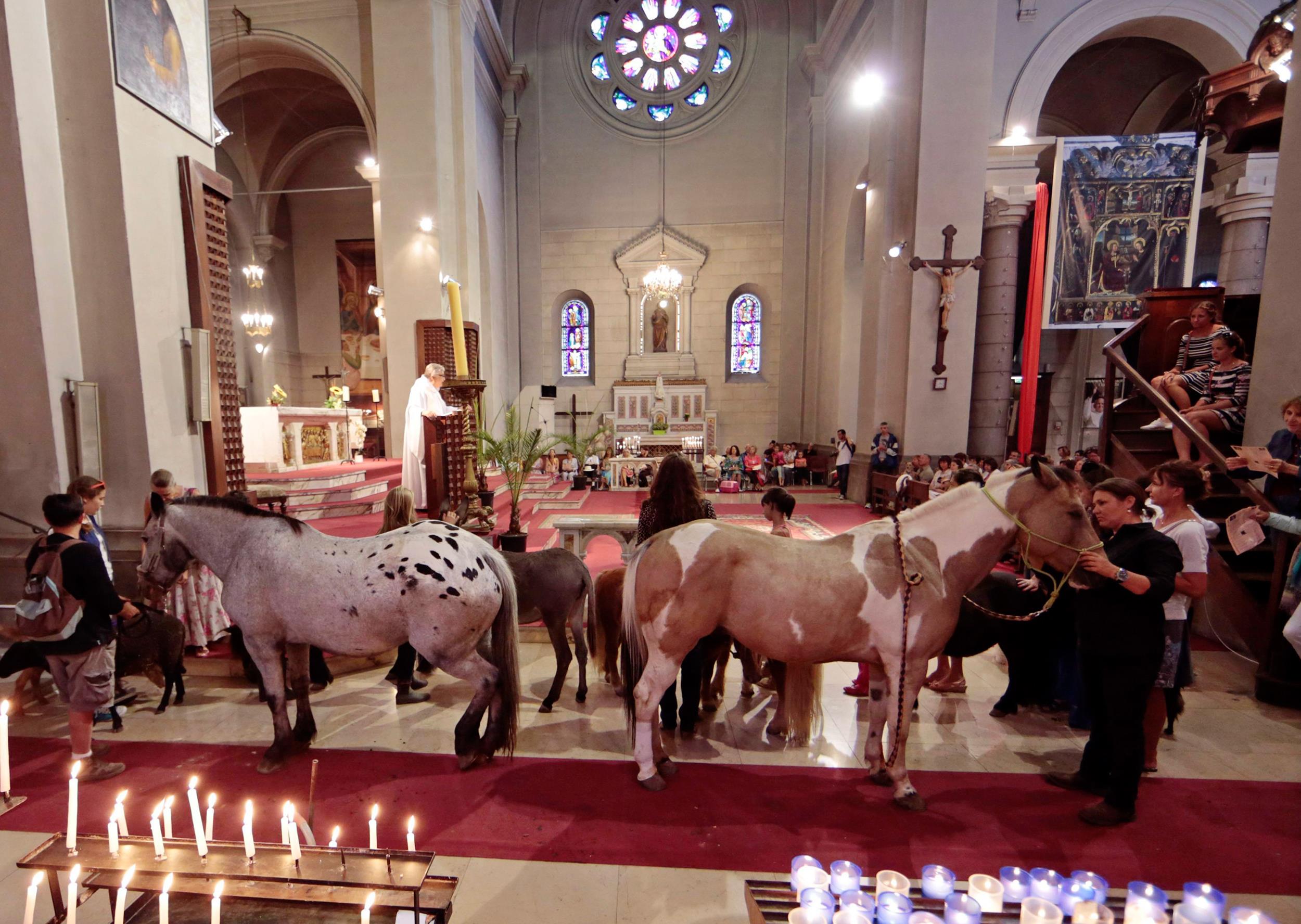 Pets go to Church for Blessing of the Animals (photos + video ...
