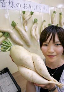 The largest radish of Crete... and of the world! - ProtoThema English