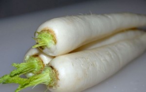 The largest radish of Crete... and of the world! - ProtoThema English