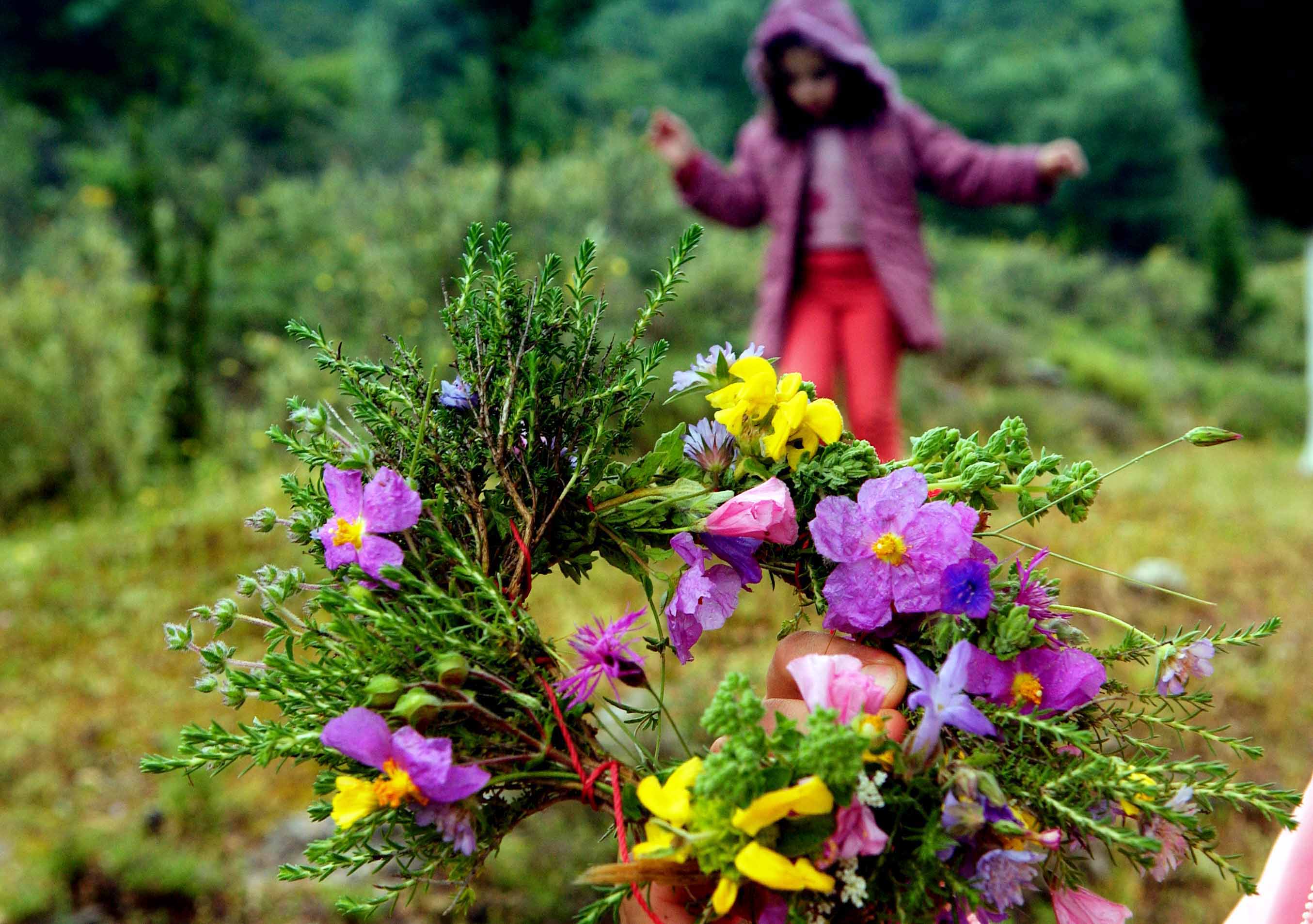Athens May Day festivities - ProtoThema English