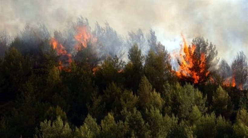 Fire brigade at Stamata battles to save homes from fire - ProtoThema ...