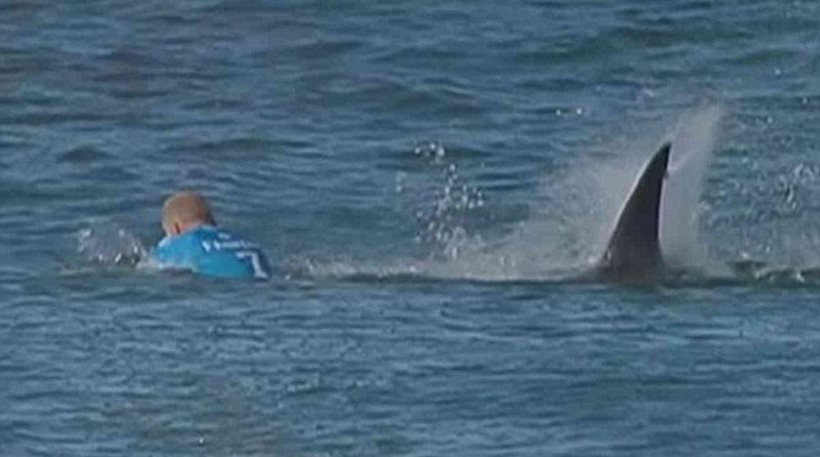 Surfer punches shark and escapes (video) - ProtoThema English