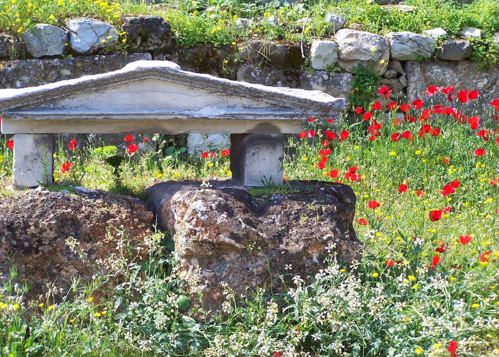 Poppies bloom in the ruins on Armistice Day - ProtoThema English