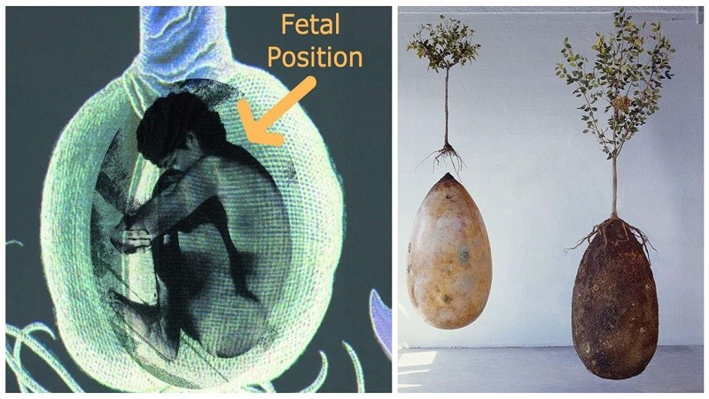 Bye bye coffins and cremation... become an after-life compost of death ...