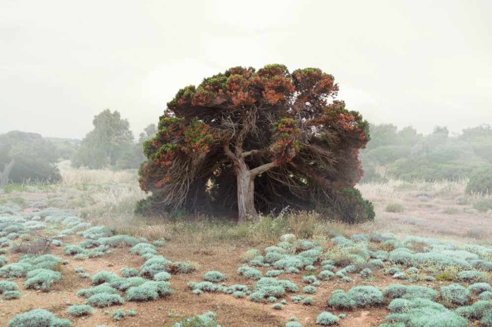 Stunning photos of Greek landscapes - ProtoThema English