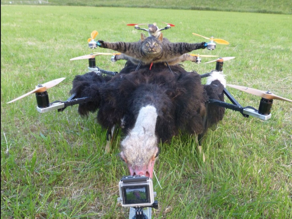 This man turns dead animals into drones! (photos+videos) - ProtoThema ...