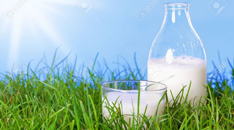 Australian business develops 100-day fresh milk - ProtoThema English