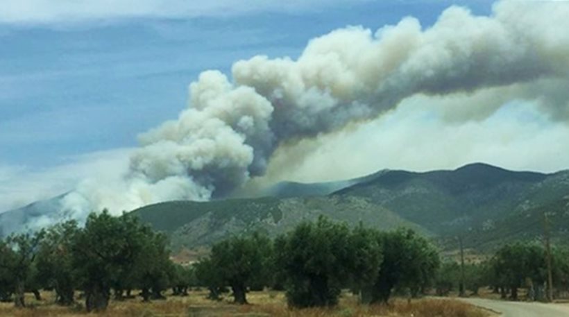Wildfire breaks out at Megara - ProtoThema English