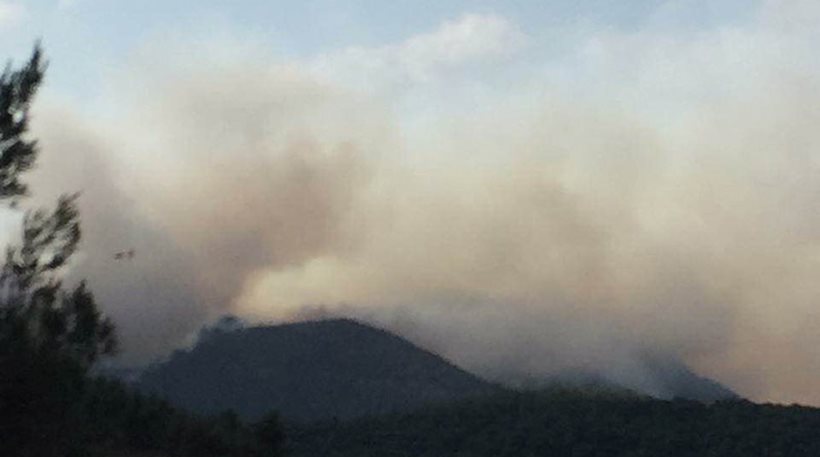 Boeotia wildfire continues to rage (photos+video) - ProtoThema English