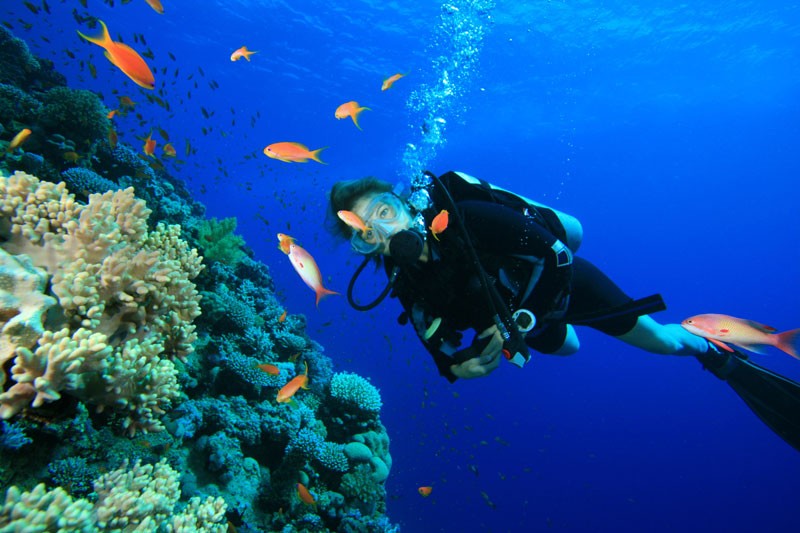 Diving parks on 4 islands of the South Aegean - ProtoThema English