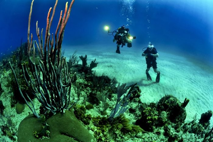 New Greek Diving Park to offer reefs, shipwrecks to explore ...