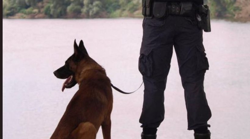 Greek police say goodbye to K-9 member named "Satan" in emotional tweet ...