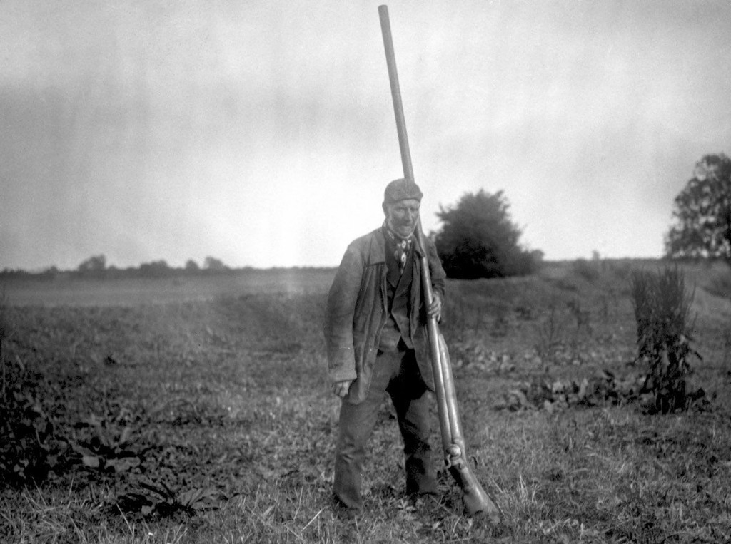 The giant gun that killed 90 birds with one shot! (video-photos ...