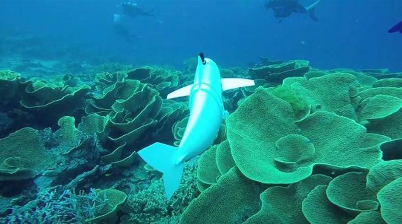 Meet the first robot fish called "SoFi" (video) - ProtoThema English