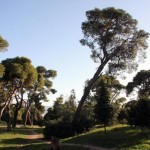 Fire at the Syngrou Grove in Athens under control (photos ...