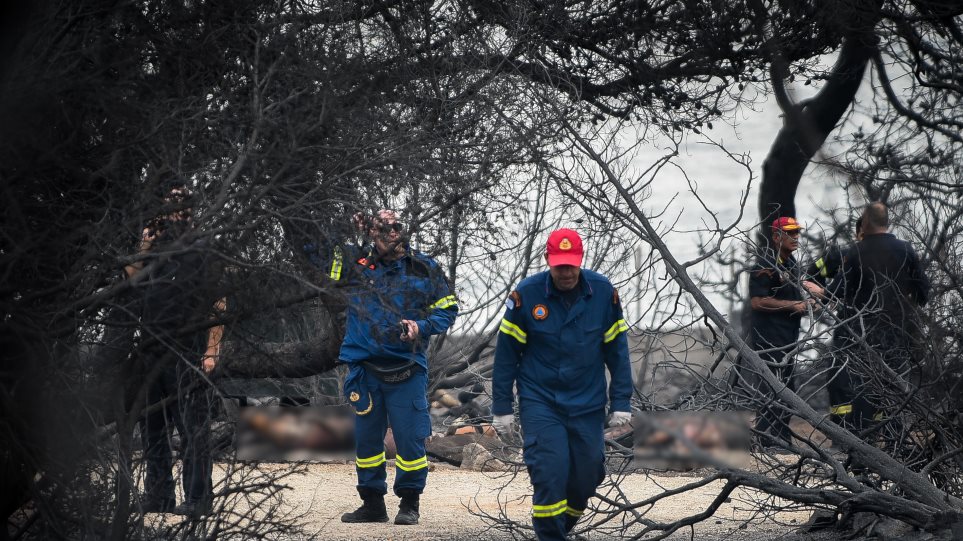 Attica Mayor says fire started from severed electricity cable ...