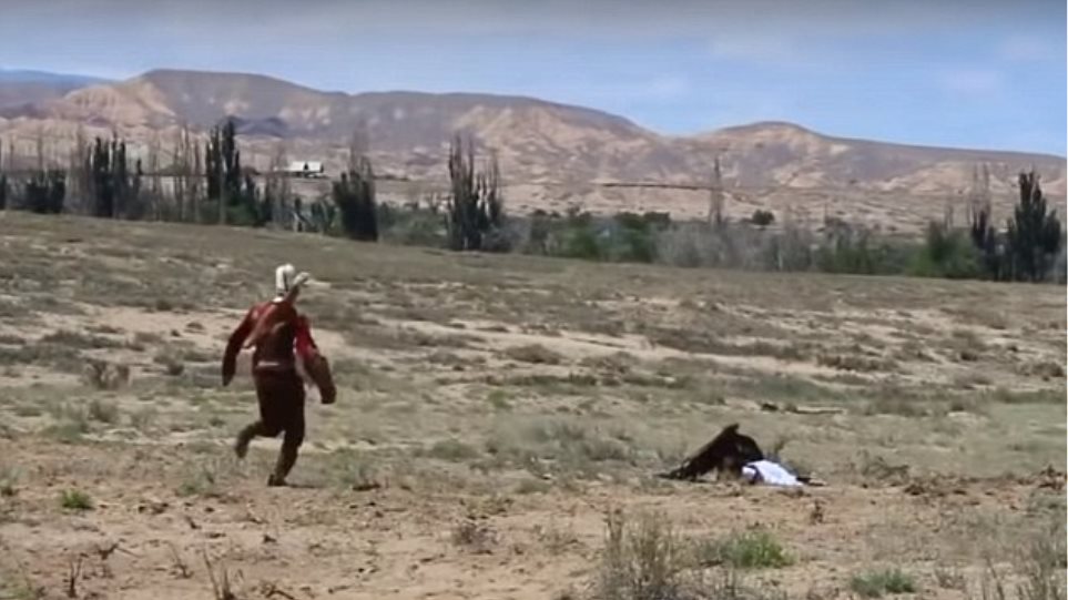 Massive eagle attacks a girl in shocking video! (video) - ProtoThema ...