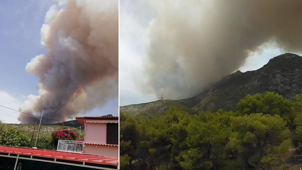 Large fire rages near Kinetta - Live streaming (photos-videos ...