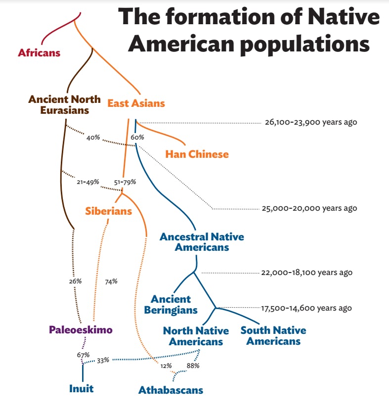 Ancient DNA discovery reveals previously unknown population of native ...