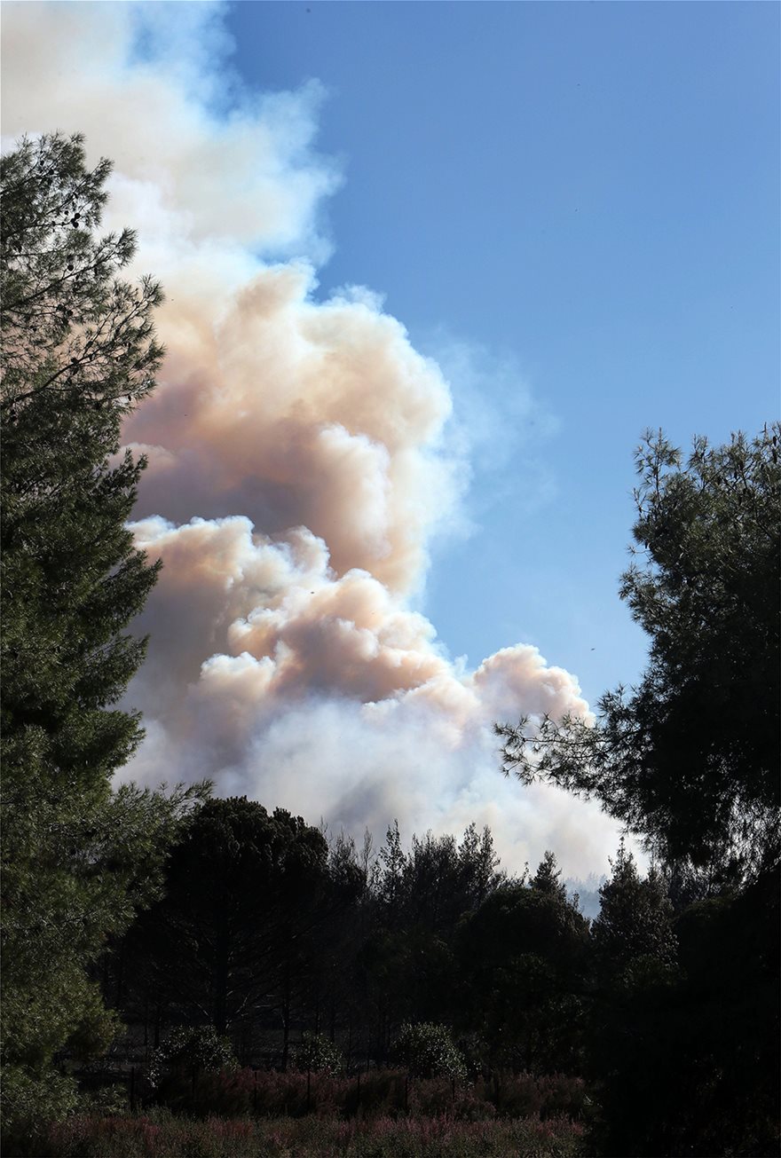 Area of Sarti in Chalkidiki declared in state of emergency due to fire ...