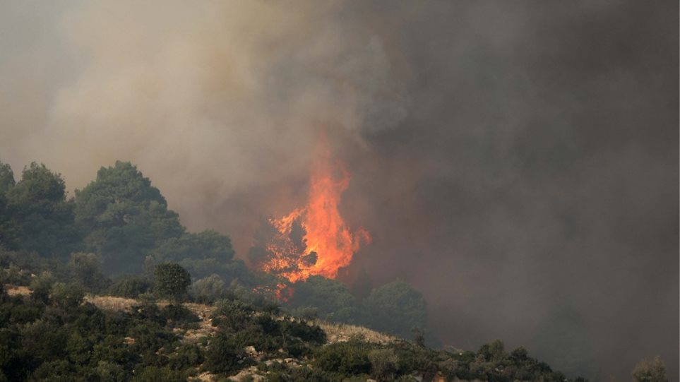 Area of Sarti in Chalkidiki declared in state of emergency due to fire ...