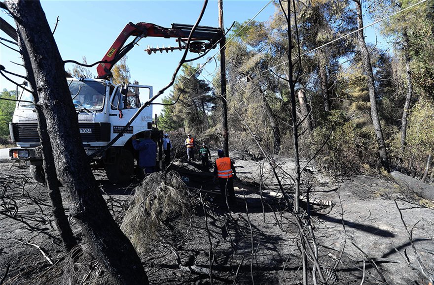 Area of Sarti in Chalkidiki declared in state of emergency due to fire ...