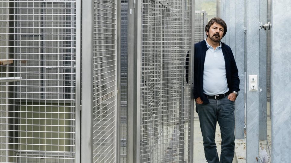 Greek Director at Max Planck Institute Nikos Logothetis acquitted of ...