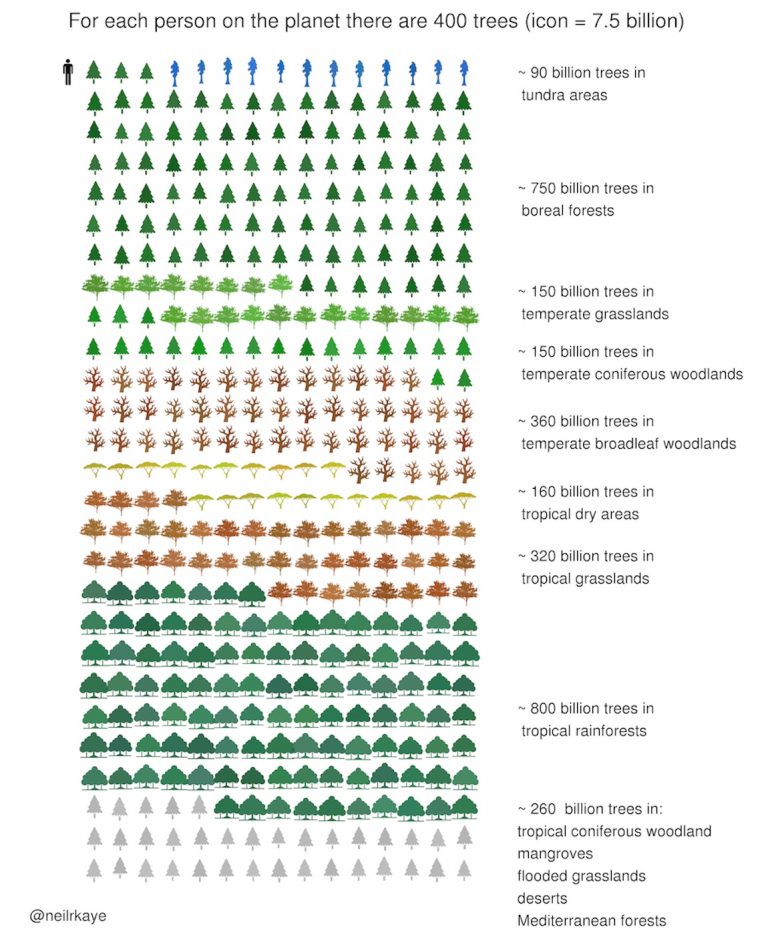 The number of trees per person on the planet! (infographic ...