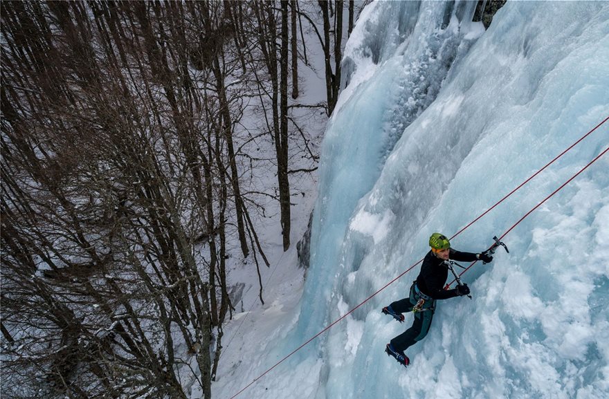 Spellbinding images of ice-covered forest in northern Greece (photos ...