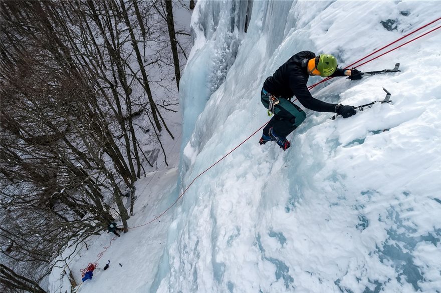 Spellbinding images of ice-covered forest in northern Greece (photos ...