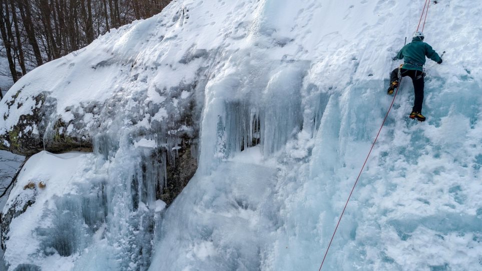 Spellbinding images of ice-covered forest in northern Greece (photos ...