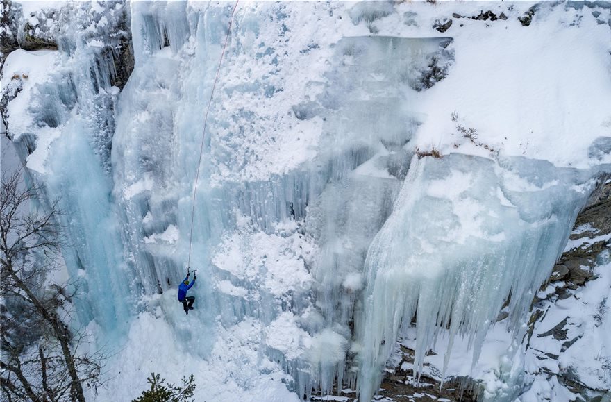 Spellbinding images of ice-covered forest in northern Greece (photos ...