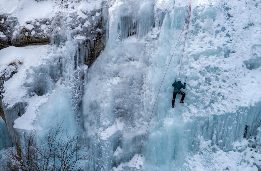 Spellbinding images of ice-covered forest in northern Greece (photos ...