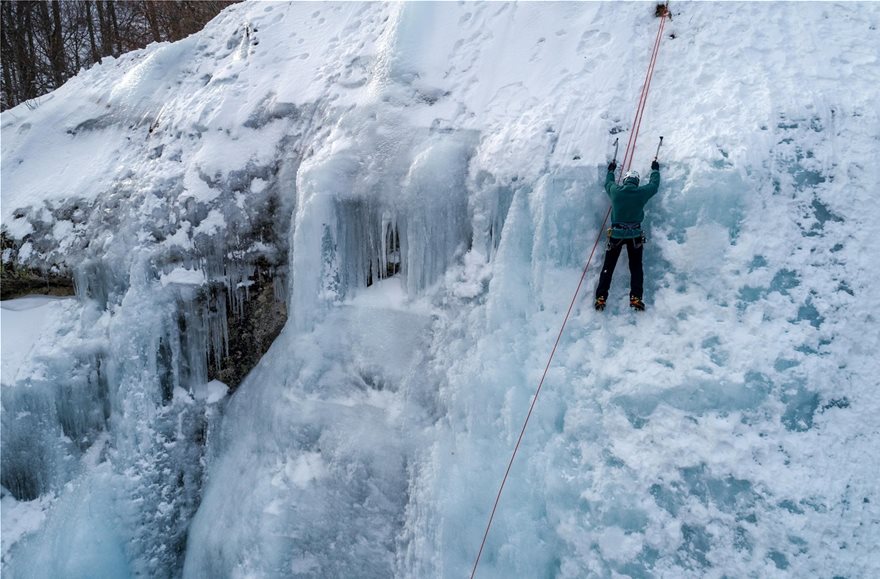 Spellbinding images of ice-covered forest in northern Greece (photos ...