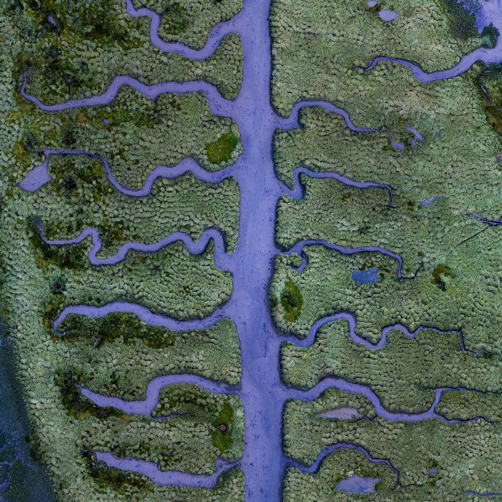 Aerial photography captures the beauty of how water shapes our planet ...