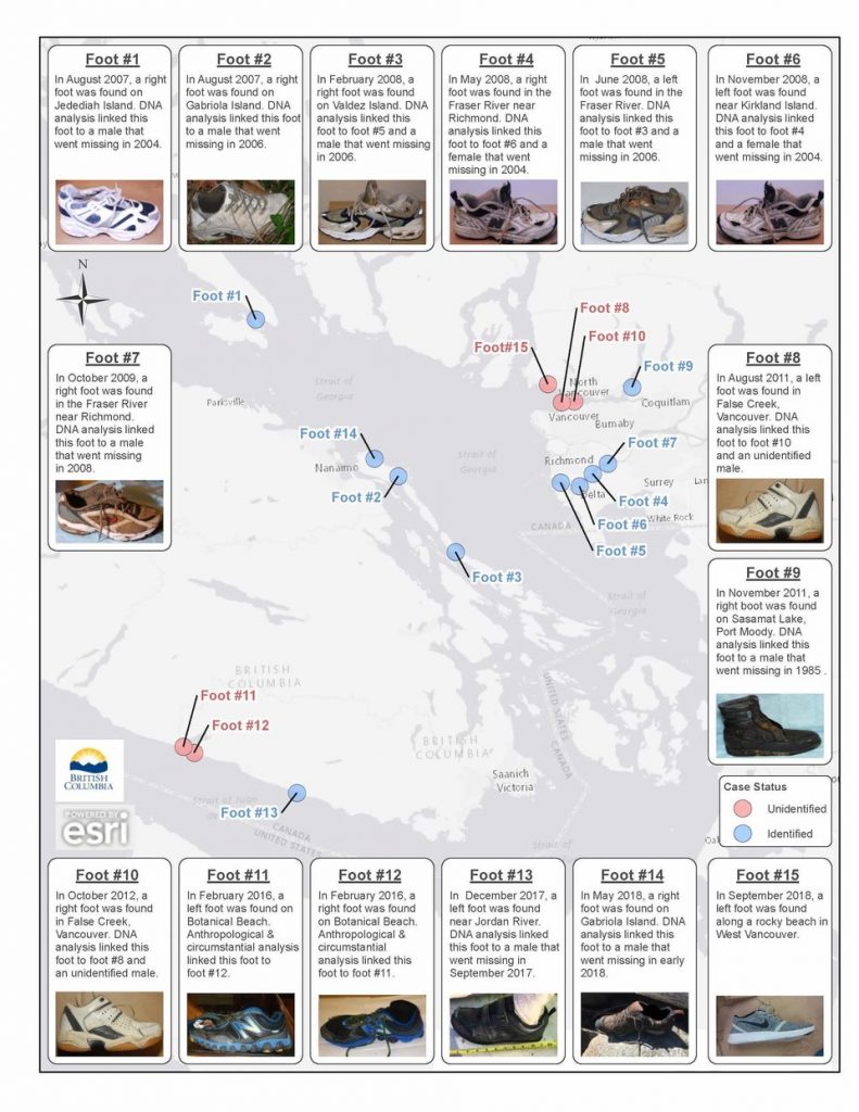 Severed human feet keep washing up on shores along the US-Canada border ...