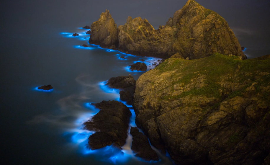 Glowing "Blue Tears" in China's seas are incredibly Toxic, and they’re ...