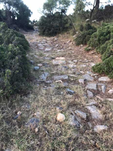 3000-year-old Greek processional ‘Sacred Road’ discovered in Turkey ...