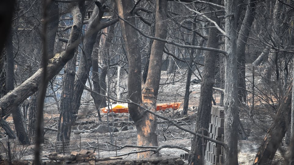 One year to the day since the tragic fire at Mati - ProtoThema English