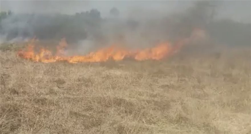 Large fire underway in Corfu (video-photos) - ProtoThema English