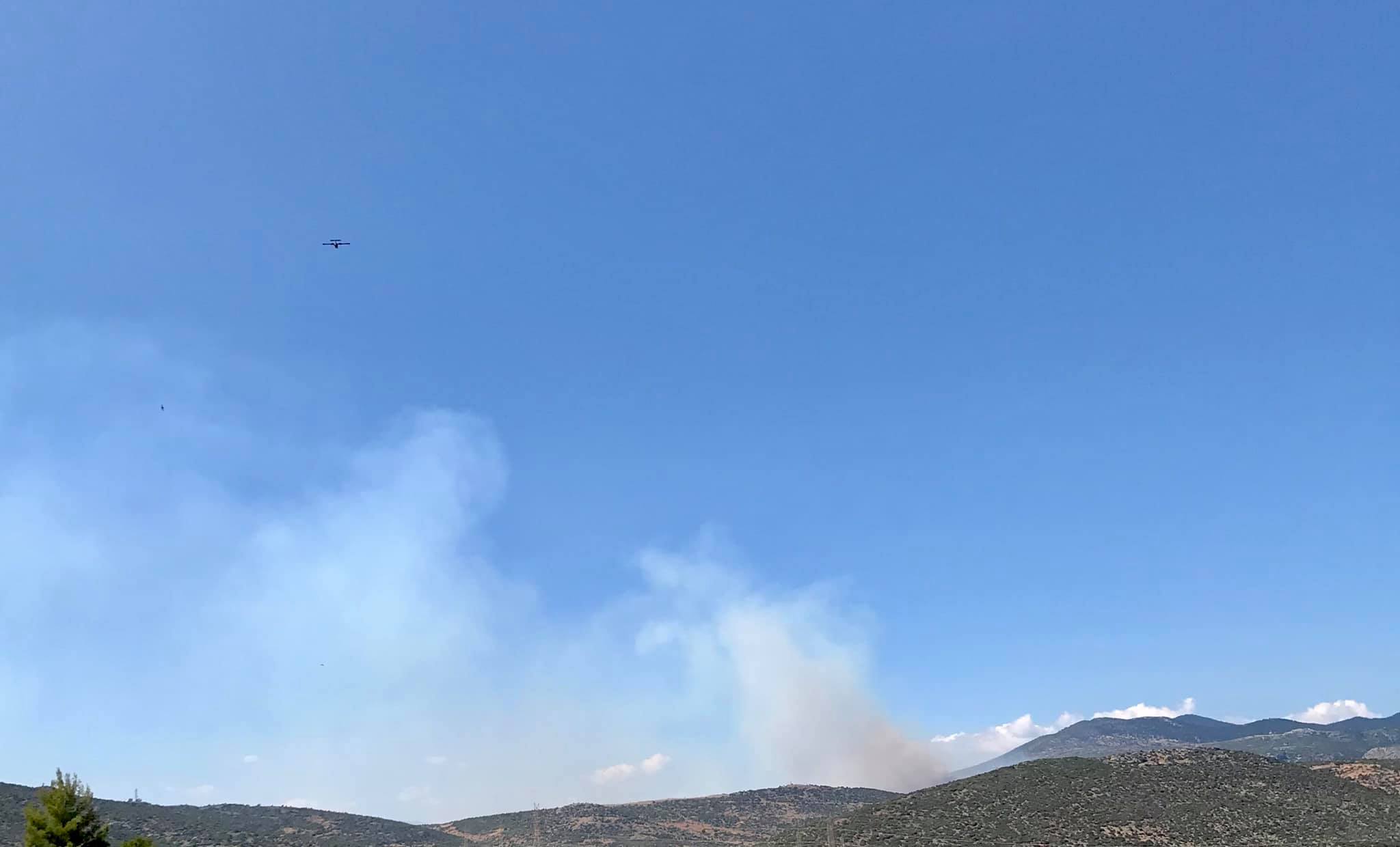 Fire breaks out near Delphi archaeological site (photos) - ProtoThema ...
