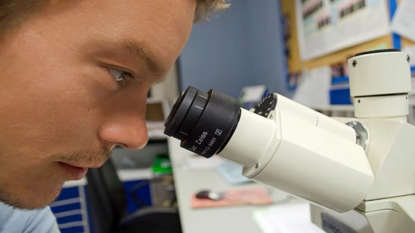 Incredible breakthrough, as scientists in Singapore create human skin ...