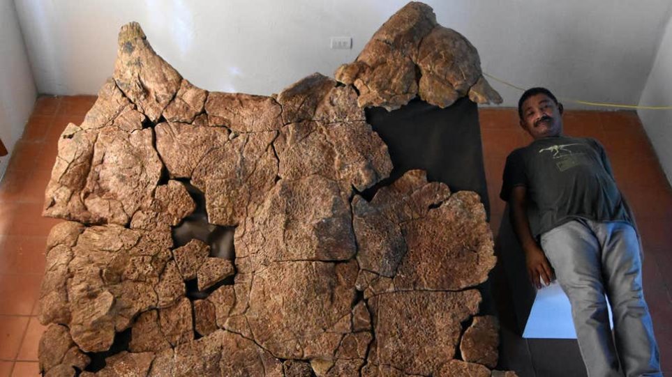 Largest ever "mutant" turtle with horns found in South America ...