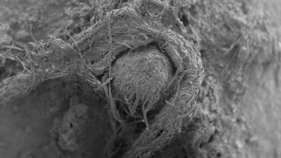 The world’s oldest piece of string, 50,000 years old, found in France ...
