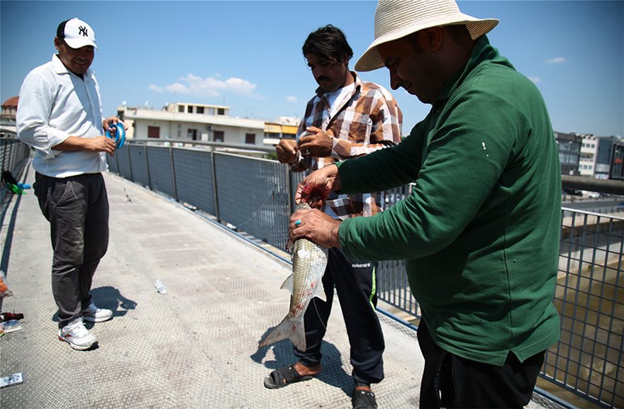 Incredible photos show fishermen reeling in mullets in Attica River ...