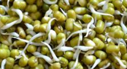 Hundreds of Americans planted those alarmingly mysterious Chinese seeds ...